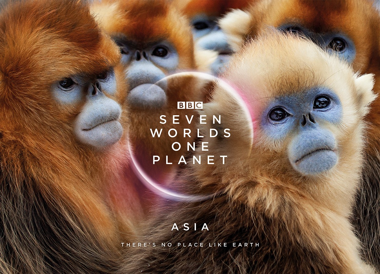 Natural History at the BBC – New Networks For Nature