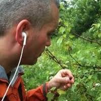 Lorimer, Hayden – New Networks For Nature