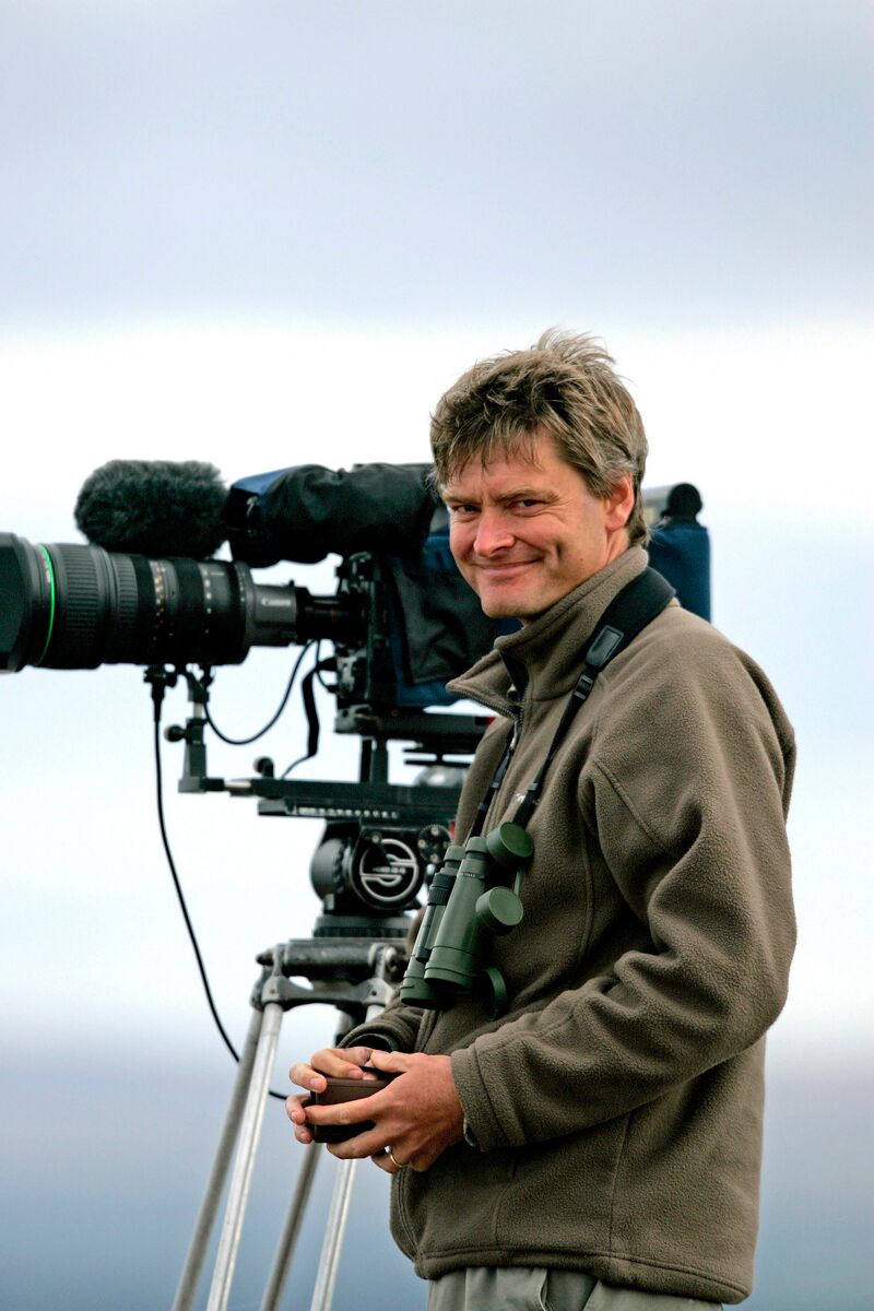 Aitchison, John – New Networks For Nature