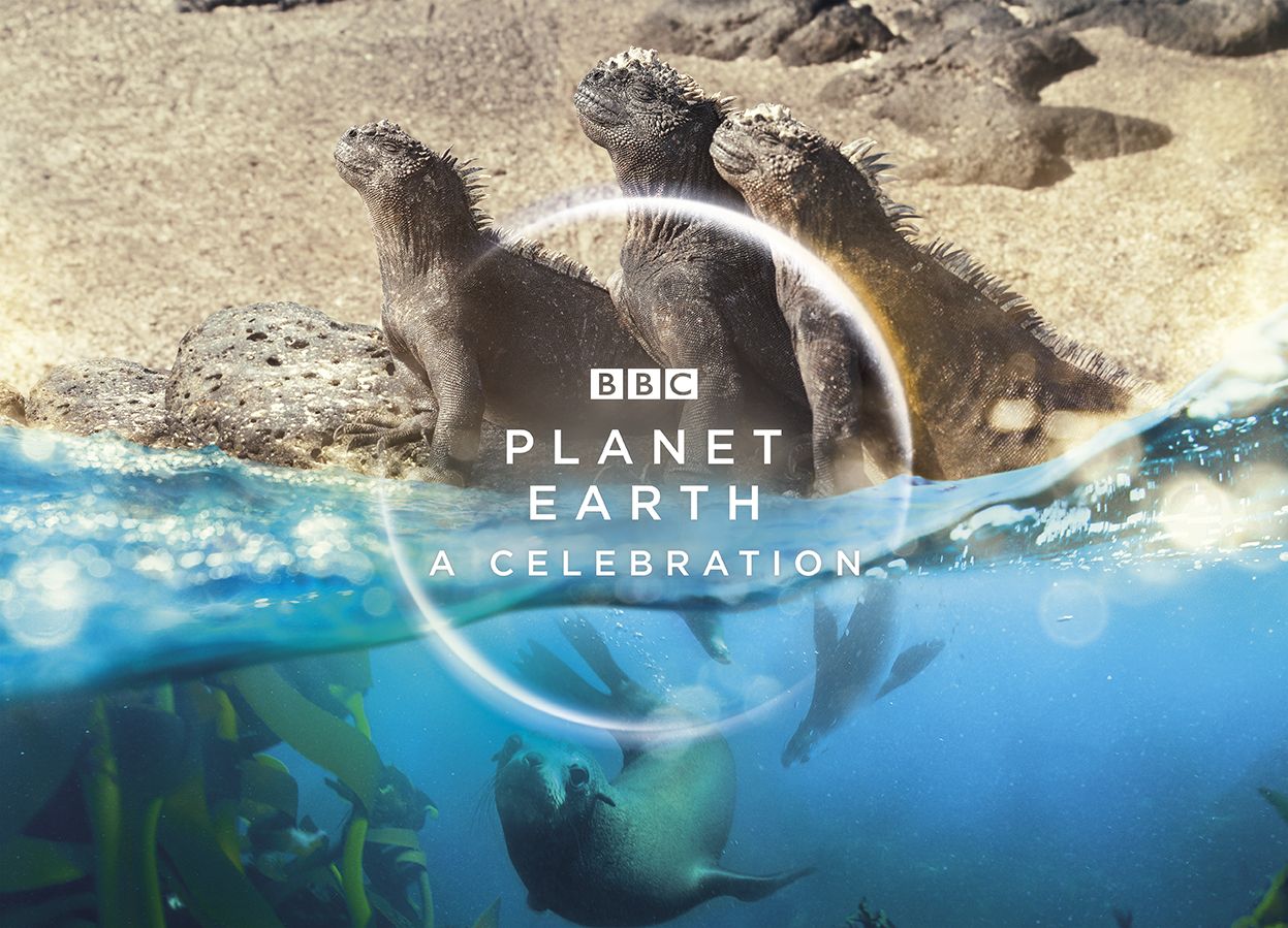 Natural History at the BBC – New Networks For Nature